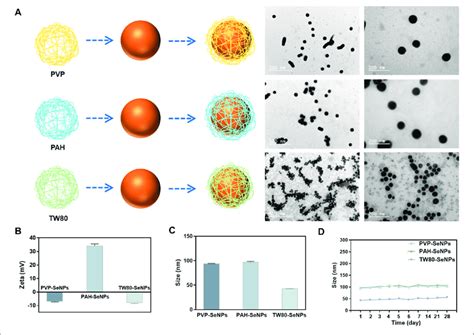 Synthesis And Characterization Of Different Functionalized Senps A