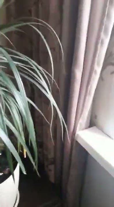 Погода за окном Youtube