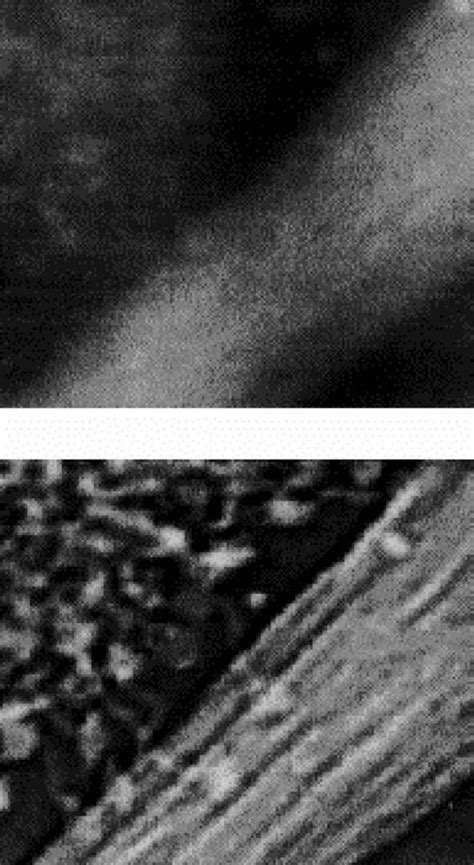 A Recent Real Example Of Image Sharpening By Exploiting A Coherent Download Scientific Diagram