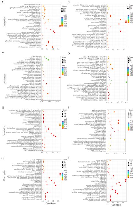 Comparative Transcriptome Analysis Of The Response To Vibrio