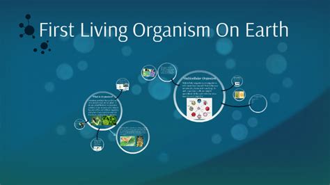 First Living Organism On Earth By Viviana Muñoz On Prezi