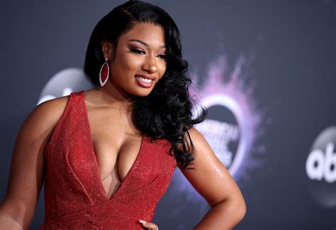 Megan Thee Stallion Is Making Hot Girl Fall Happen With This Sheer
