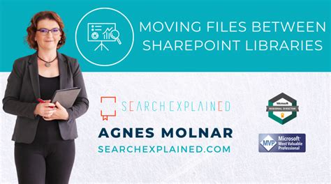 The Future Of Sharepoint Search And Discovery Search Explained