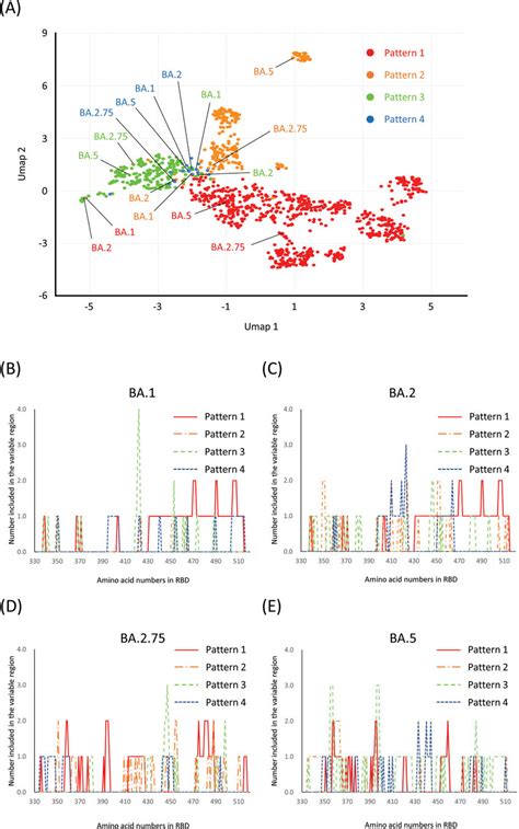 Conformational Variation Pattern Analysis In Rbd And Ace2 Binding Of Download Scientific
