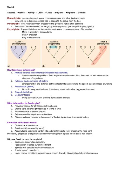 Summary Of Weekly Lecture Material Bio1022 Biology Ii Monash Thinkswap