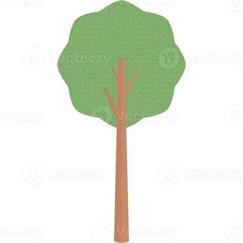 Flat Tree Style Aesthetic Collection Set 17171504 PNG