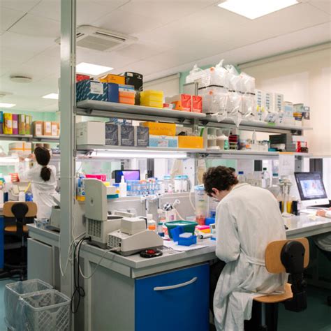 Patrizia Cavazzoni Former Fda Official Joins Pfizer As Chief Medical Officer