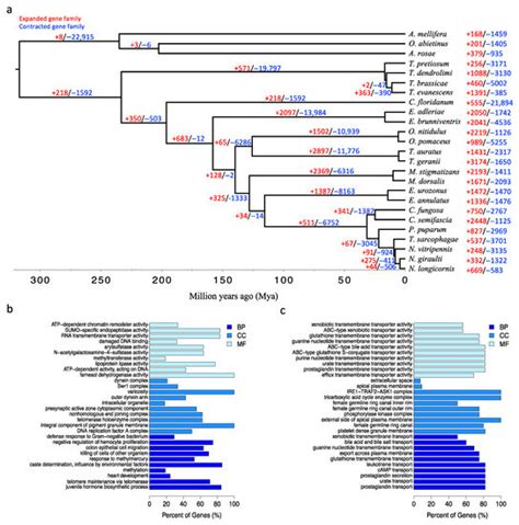 Insects Special Issue Insect Genome And Transcriptome Data