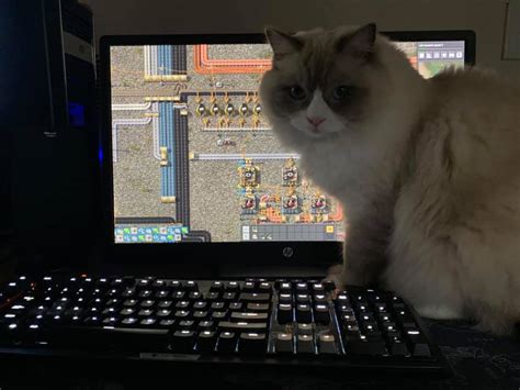 Another Kind Of Biter Stopping Me From Building My Factory R Factorio