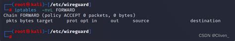 iptables 限制转发 iptables限制转发指定端口 csdn博客
