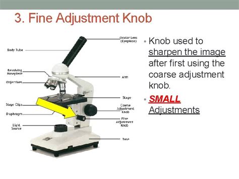 The Microscope 6 Th Grade Science Microscope A