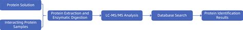 Qualitative Proteomics Analysis Service Mtoz Biolabs