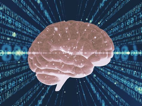 What Exactly Is Your Brain Doing When Reading Code Ieee Spectrum