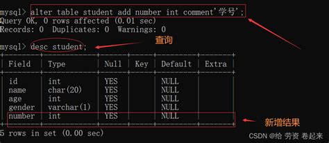 Mysql数据库入门（表格的操作）mysql表格 Csdn博客