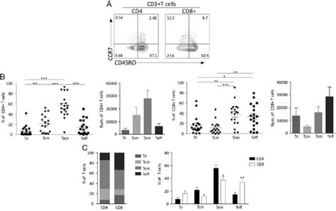The Frequency Of Subsets Of Tils From Human Lung Cancer A Download Scientific Diagram
