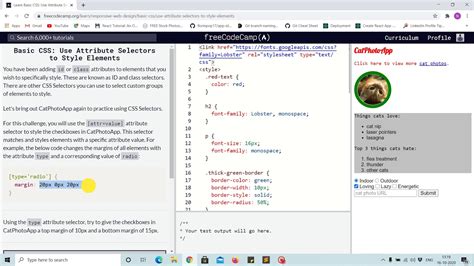 Tutorial 23 Using Attribute Selector To Style Elements Free Code Camp Explained YouTube
