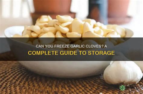 Can You Freeze Garlic Cloves A Complete Guide To Storage Shuncy