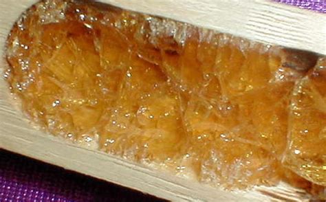 Make Glue From Hide In A Few Easy Steps SurvivalKit Com