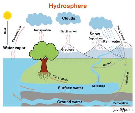 Diagram Lithosphere Hydrosphere Atmosphere And Biosphere Carbon Cycle