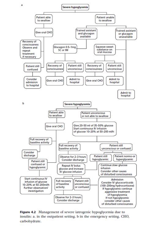 Diabetic Emergencies Hypoglycemia Caused By Insulin Part 3