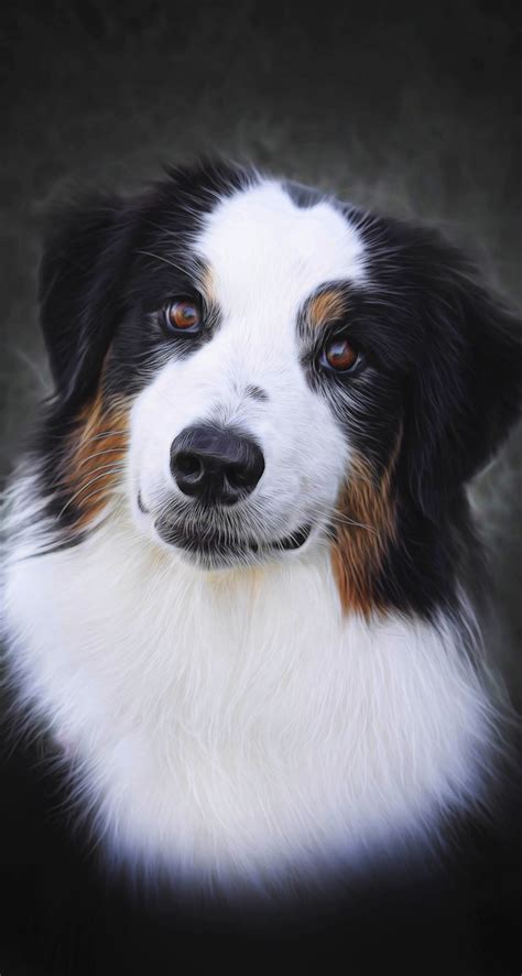 Ruby Alexander Rubyale44399238 Twitter