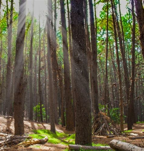 Top 8 Off The Beaten Path Things To Do In Maui This Winter Travel Off