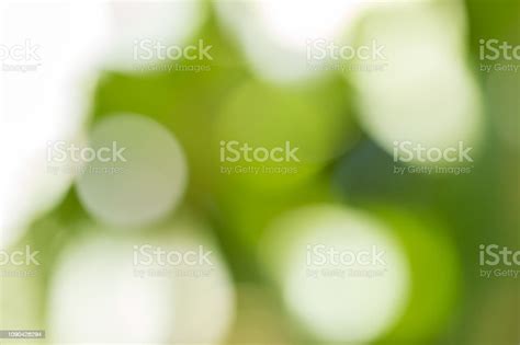 Nature Blur Green Bokeh Of Sun Light Flare For Copyspace Background Blurred Fresh Foliage Bright ...