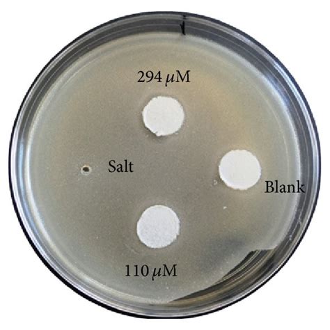 Paper Disk Diffusion Assay Of Antimicrobial Activity Of Different Download Scientific Diagram