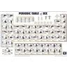 Periodic Table Of Sex Wall Poster By Unknown At FulcrumGallery Com