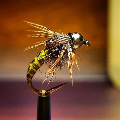 490 Best Nymph Fly Patterns Ideas In 2024 Nymph Fly Patterns Nymph