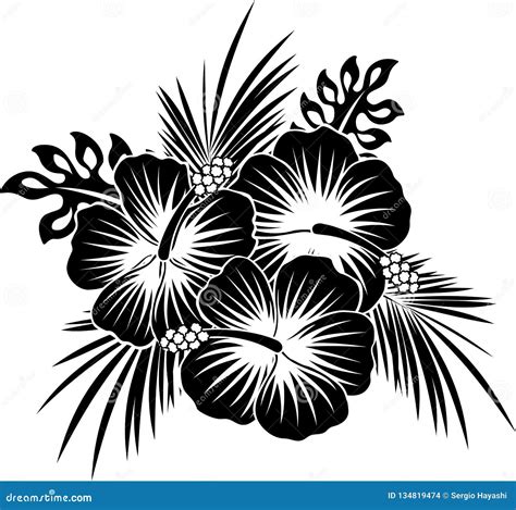 Black And White Pictures Of Hibiscus Flower At Bobby Mosca Blog