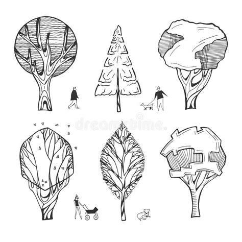 Architectural Trees Drawings Stock Vector Illustration Of Bush Leaf 131935866