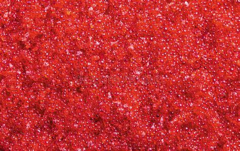Tobiko Red Stock Photography - Image: 26752832