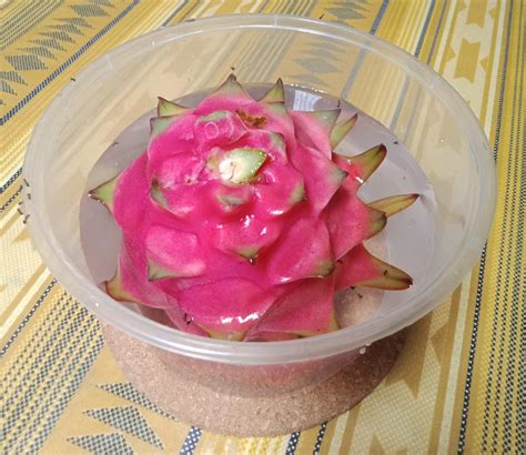 Dragon Fruit By Arkengemtelcontar On Deviantart