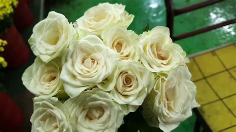 인터넷꽃도매시장 푸상장미 2등급 꽃집 꽃집창업 부산꽃집 예쁜꽃집 인천꽃집 강남꽃집 대구꽃집 부천꽃집 송도꽃집 연남동꽃집 꽃도매 부산꽃도매 Youtube