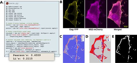 Frontiers Scijava Ops An Improved Algorithms Framework For Fiji And