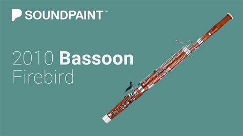 Soundpaint 2010 Bassoon Firebird W Hal Technology Youtube