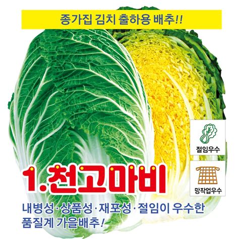 주농우바이오 농우바이오가 추천하는 김장배추 품종 3가지 절임배추로도 딱 좋아요😍 특히 국내산 Facebook