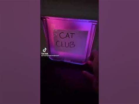 кошачий клуб - YouTube