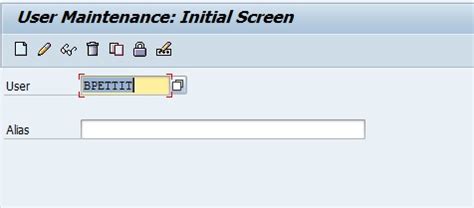 SAP Consulting And Expertise SAP Knowledge