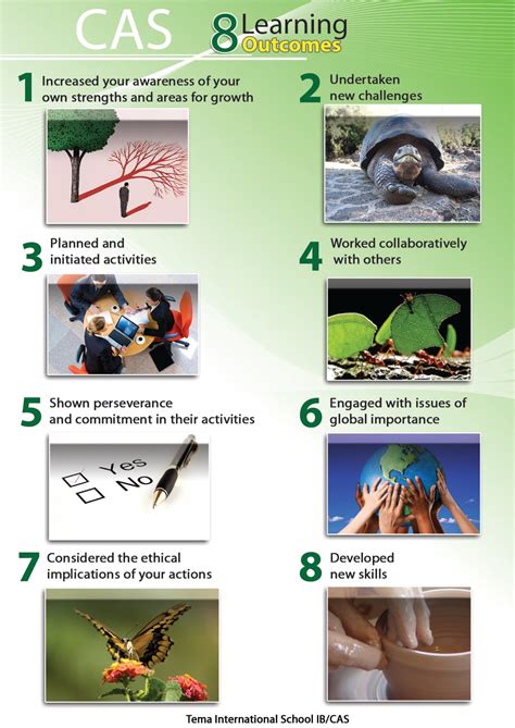 CAS Creativity Action Service TIS Ghana The 8 Learning Outcomes