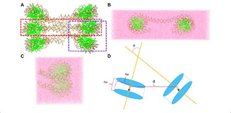 A The Template Structure Pdb Id 6hkt For The Setup Of Simulation Download Scientific