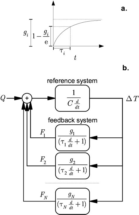 A The Generic Response Of The First Order Feedback Elements Shown In