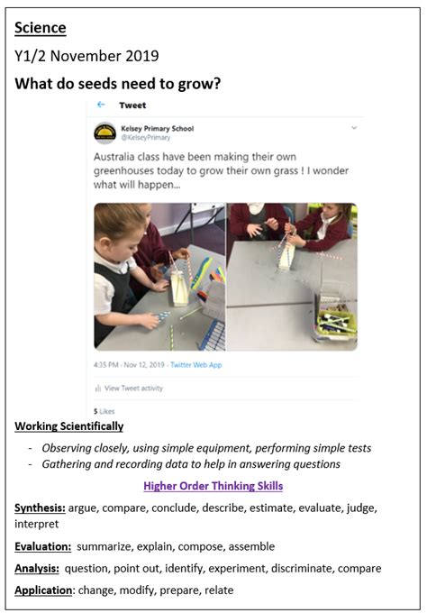 Kelsey Primary Detailed Subject Information