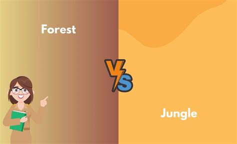 Difference Jungle And Forest At Clair Azevedo Blog