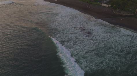 Drone Footage Nude Beach Videos Download The Best Free 4k Stock Video