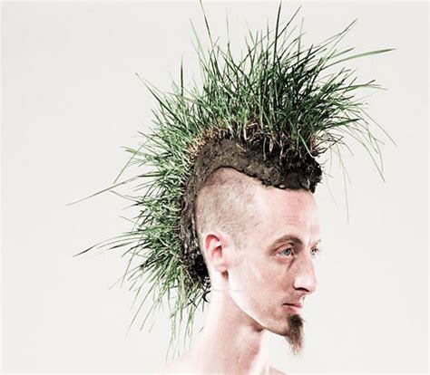 Grass Mohawk The Design Inspiration Creative Photo The Design