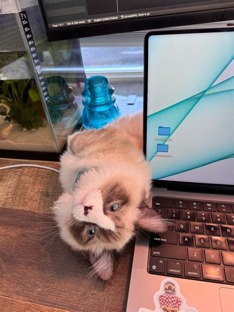 My Coworker Total Cuteness Kellyn Gorman