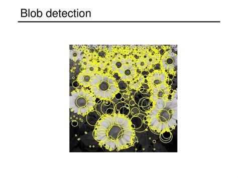 PPT Blob Detection PowerPoint Presentation Free Download ID