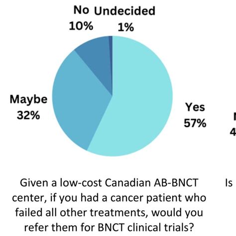 Overall Opinions On Bnct Research And Bnct In The Clinical Context